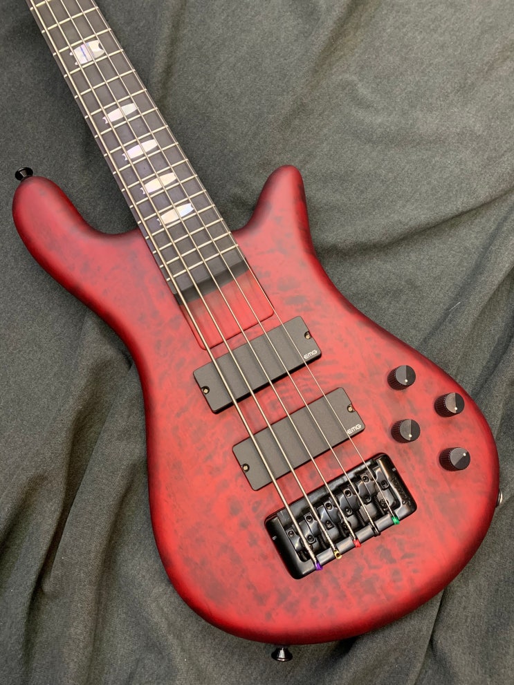 Euro Spector Rebob 5 현 : 네이버 블로그