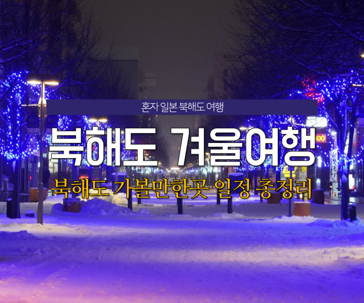 혼자 겨울 일본여행 북해도 자유여행 일정 홋카이도 코스 삿포로 네이버 블로그