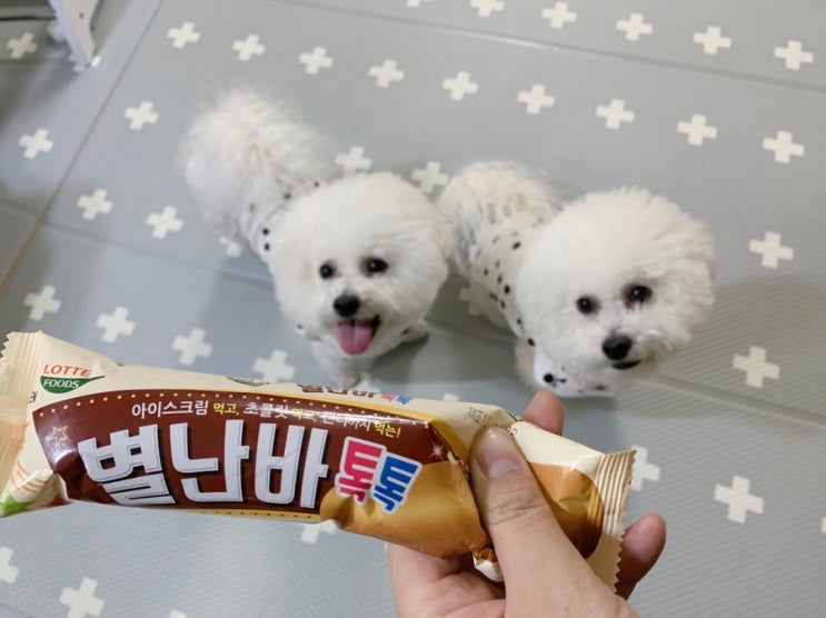 별난바 파는곳 발견! 별난바 톡톡 넌 별난바가 아니야 : 네이버 블로그