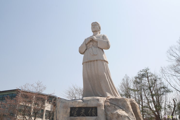 정읍 여행 코스 샘고을시장 정읍 천변 정읍사 문화공원 정읍 시립미술관 전설의 쌍화차거리인사동 네이버 블로그