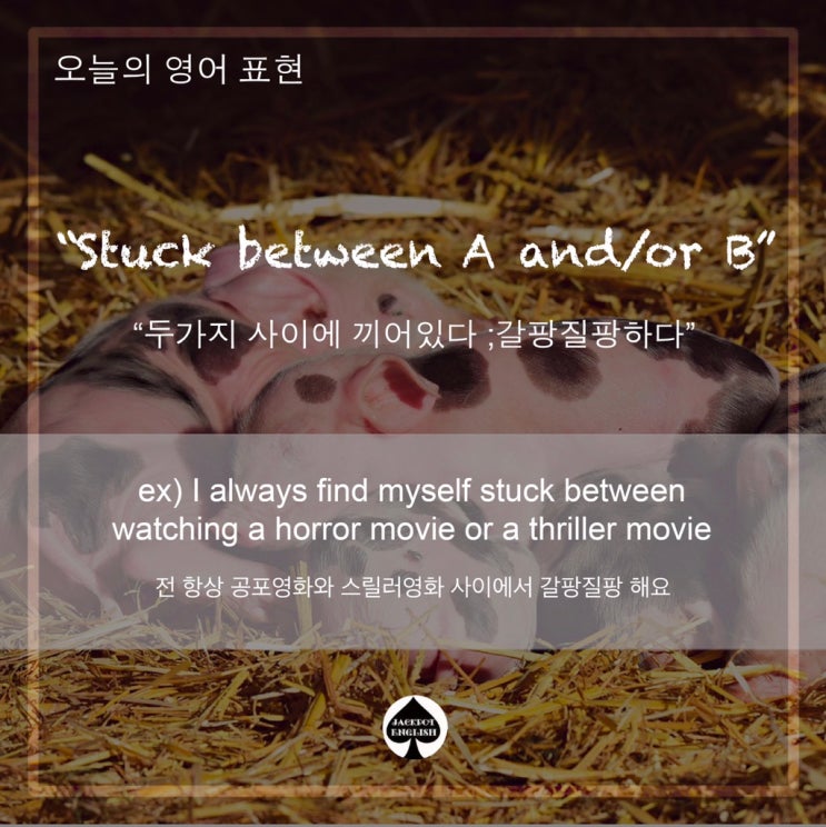 오늘의 영어 표현 [Stuck between A and/or B] : 네이버 블로그