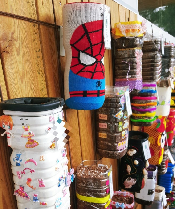 꽃피는 봄이 왔어요-무슨 꽃이 필까요? : 네이버 블로그