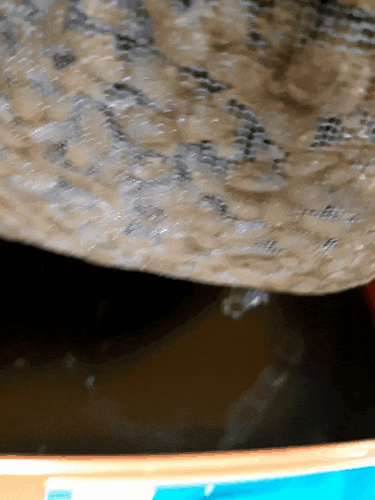 장고방 발효과학 개량 메주로 된장 간장 만들기 : 네이버 블로그