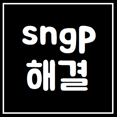 sngp 삭제 방법과 원인 / sngq.exe : 네이버 블로그