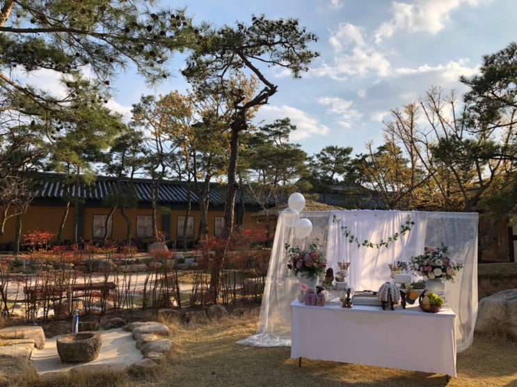 베베블러썸 경주야외돌잔치 포항생화돌상경주돌잔치가족돌잔치포항생화돌잔치포항돌상포항소규모돌잔치포항야외돌잔치 네이버 블로그