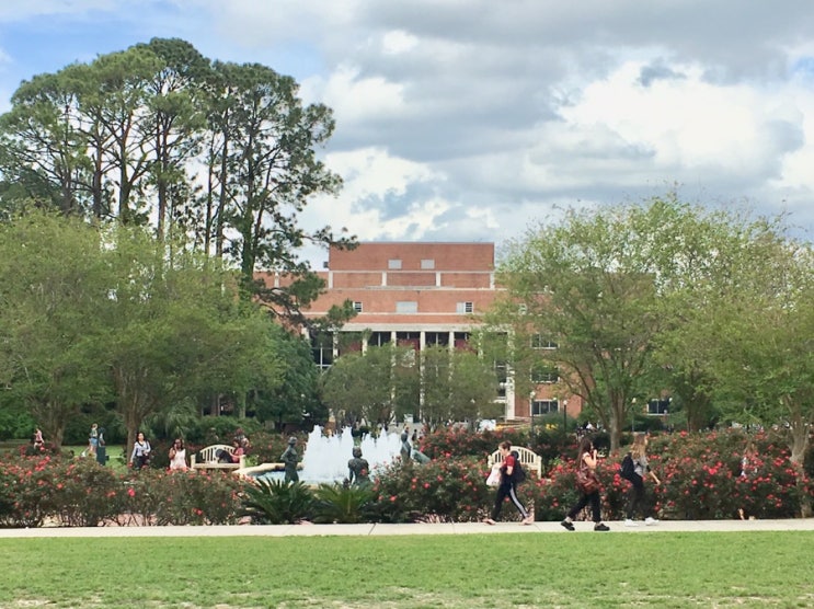 미국도서관(11): 낙서하면서 공부하는 플로리다 주립대학 도서관 (FSU Stozier Library) : 네이버 블로그