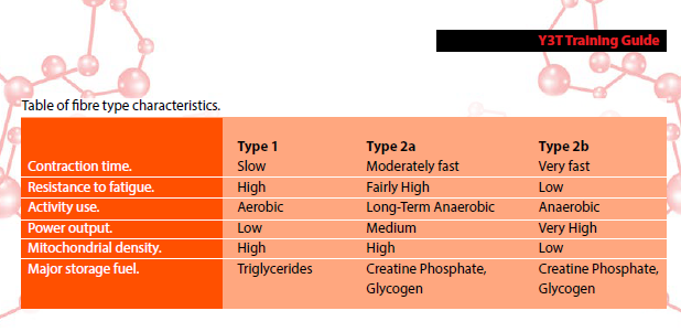 (전문가용 운동) 올림피아 트레이너 닐힐이 창시한 몸만들기의 기술! - Y3T 소개 / 목동 PT 브이핏 : 네이버 블로그