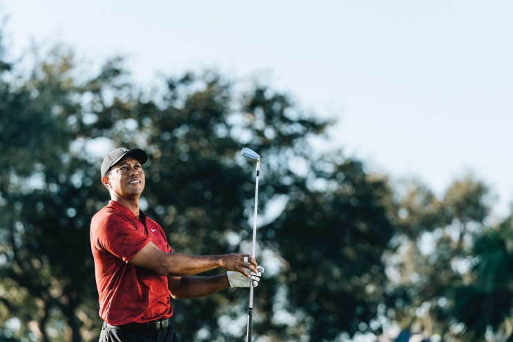타이거 우즈의 아이언!!!! P7TW 한정판 아이언 : 네이버 블로그