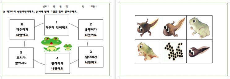 개구리 활동지 개구리 성장과정 네이버 블로그