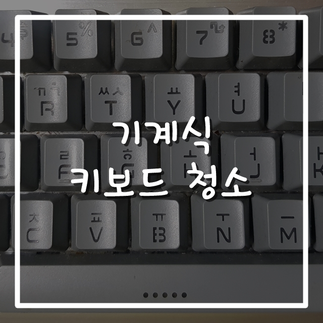 기계식 키보드 청소 다이소 젤리 클리너 네이버 블로그