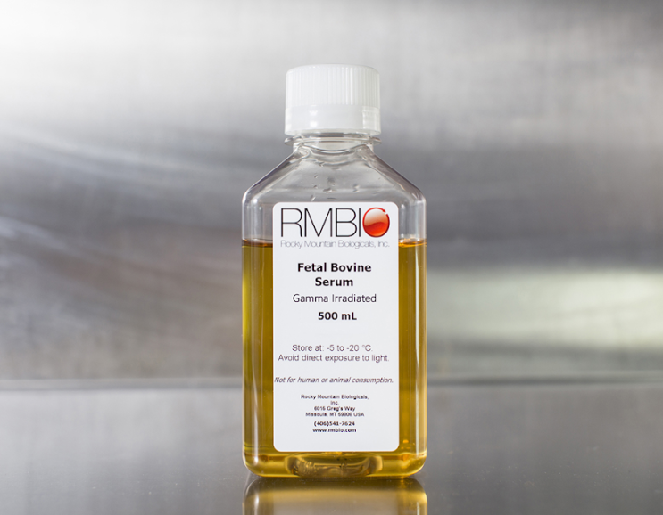 [RmBio] Gamma Irradiated Fetal Bovine Serum (FBS) : 네이버 블로그
