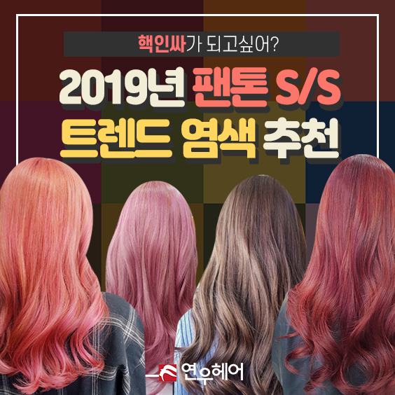 2019 팬톤 컬러로 알아보는 핵인싸 염색트렌디한 염색 추천 동성로 연우헤어 네이버 블로그