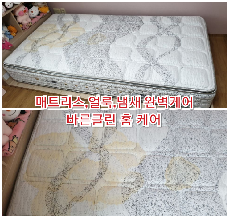 대전 유성신탄진 침대매트리스청소메트리스케어소변구토혈흔얼룩냄새진드기살균소독 피톤치드까지 네이버 블로그