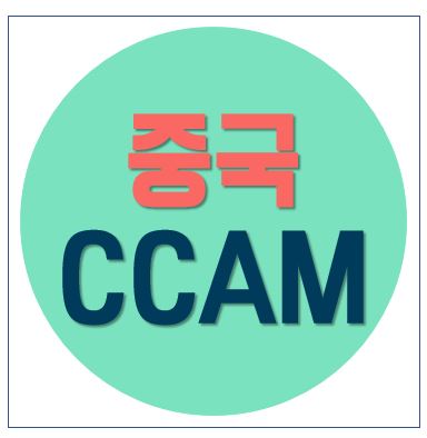 중국 - CCAM 파헤치기! : 네이버 블로그