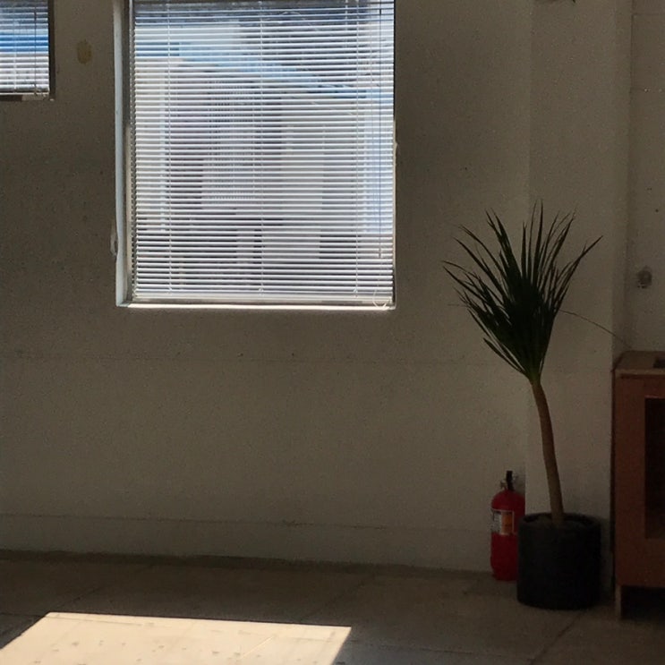 오롯이 내 것으로 : 네이버 블로그