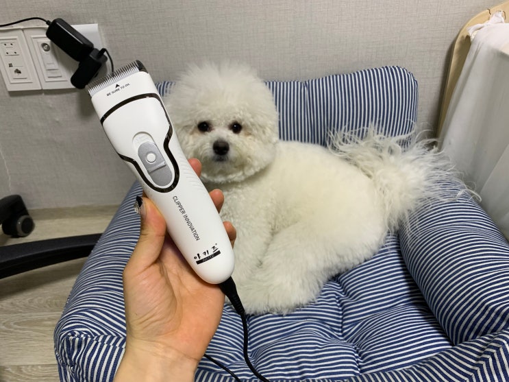 강아지 셀프미용 바리깡 내돈내산 아키즈 프로바리깡 후기 네이버 블로그