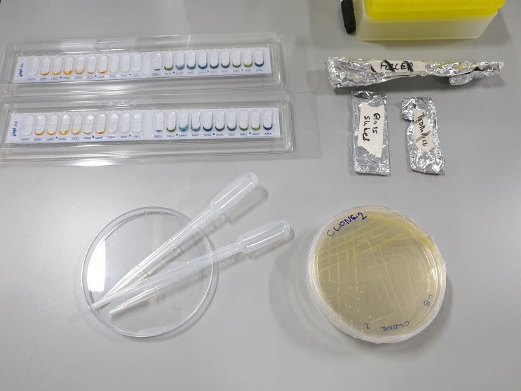 [Microbiology Lab session – API 20E Test] : 네이버 블로그