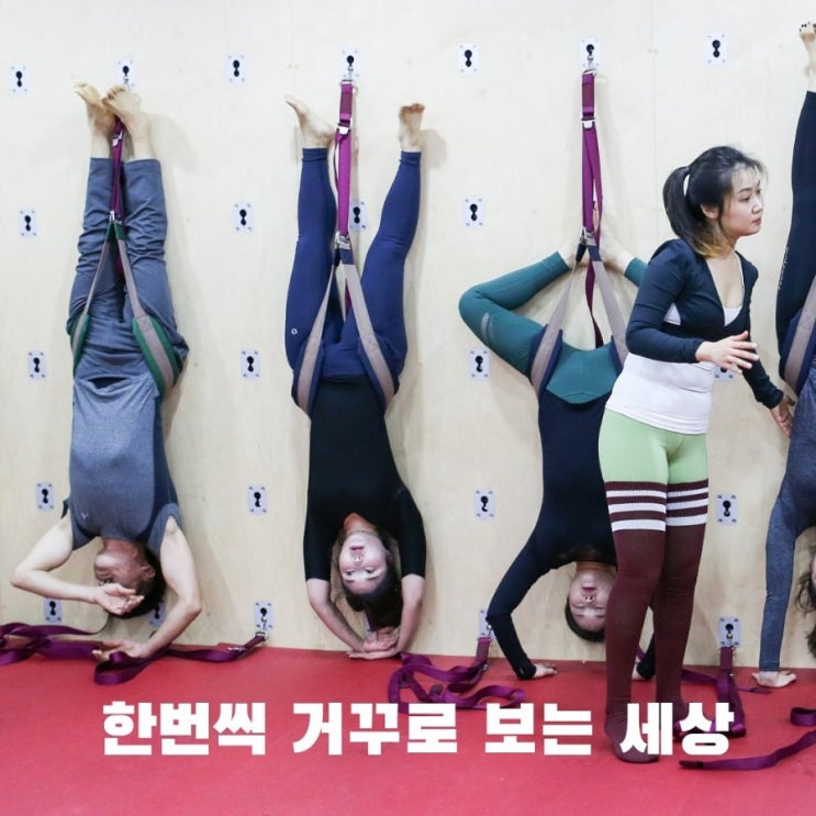요가테라피 수련지도는 테라피월이 탁월하다 네이버 블로그