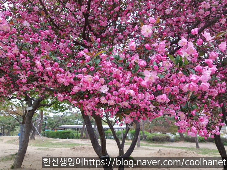 송파구잠실 강동구 중고등영어학원 내신도약 위한 2013학년도 수능영어 36번 글의 요지추론문제 해설 네이버 블로그