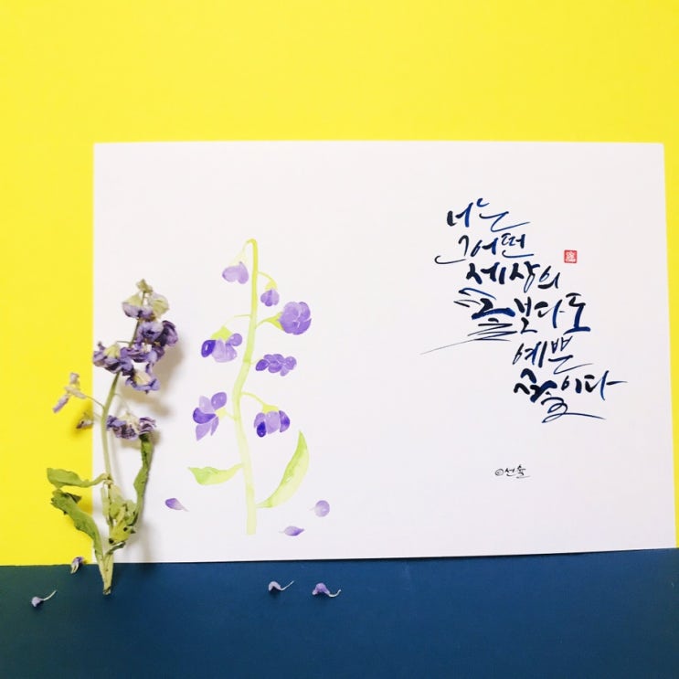 광주캘리그라피 꽃캘리수채화캘리짧은글귀캘리 네이버 블로그