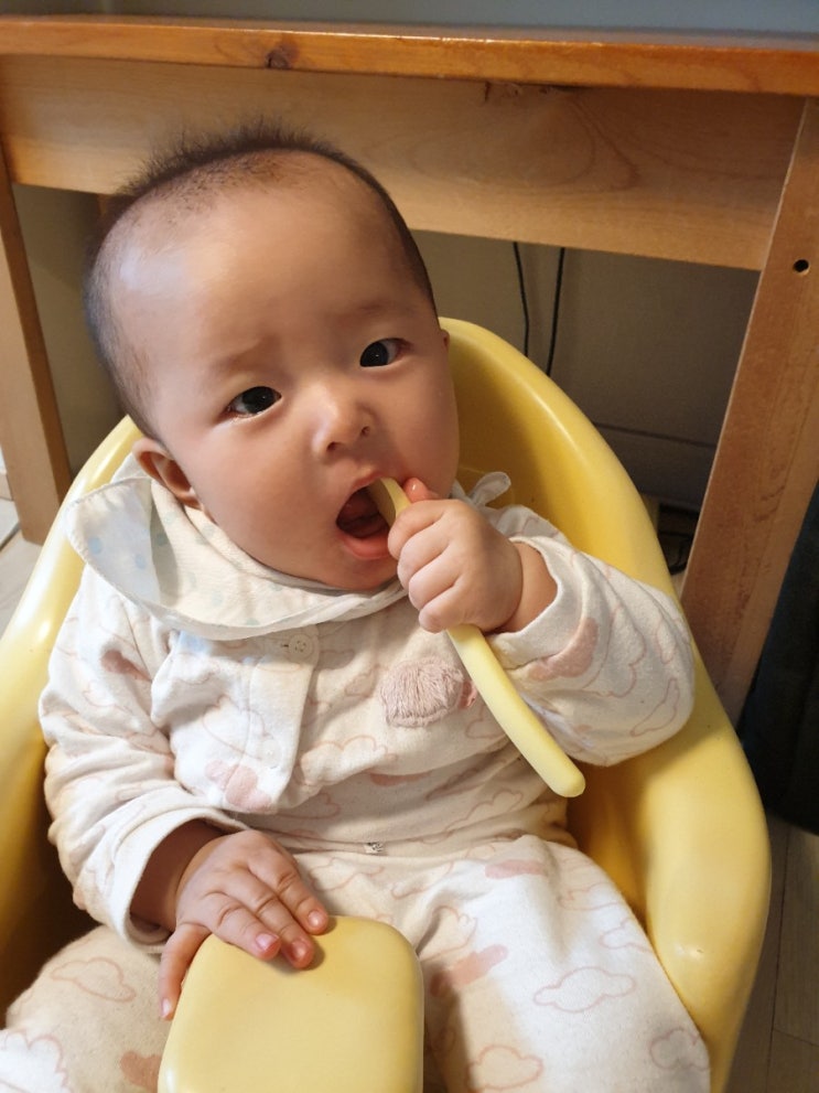 이유식용기 추천 데일리라이크 봉봉 스푼and 트라이탄 용기 And 글라스락 유리용기 준비완료 셋째 만5개월 이유식 시작해요