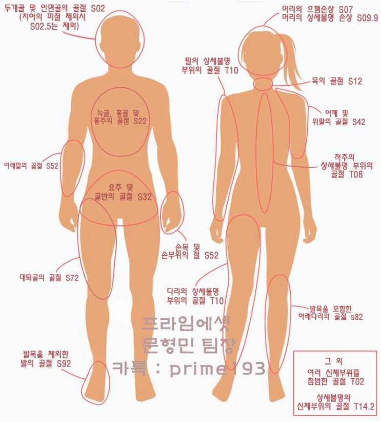 어느 범위까지 보장받을까 보상 청구 서류는 골절 진단비 보험료와 보상 질병분류코드까지 한번에 알아보기 네이버 블로그