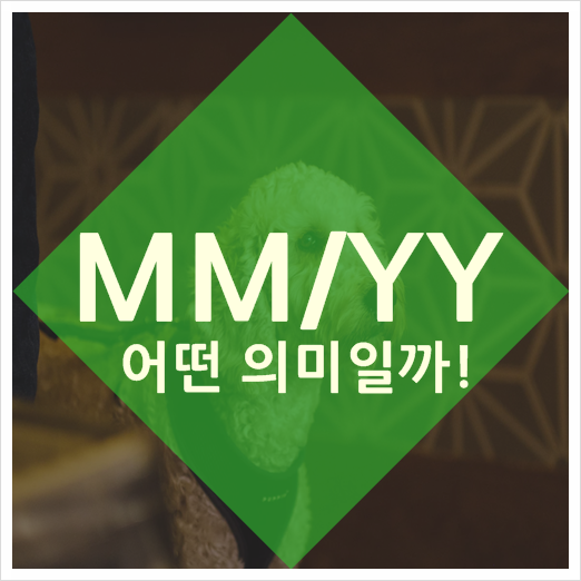 MM/YY 어떤 의미인가요? : 네이버 블로그