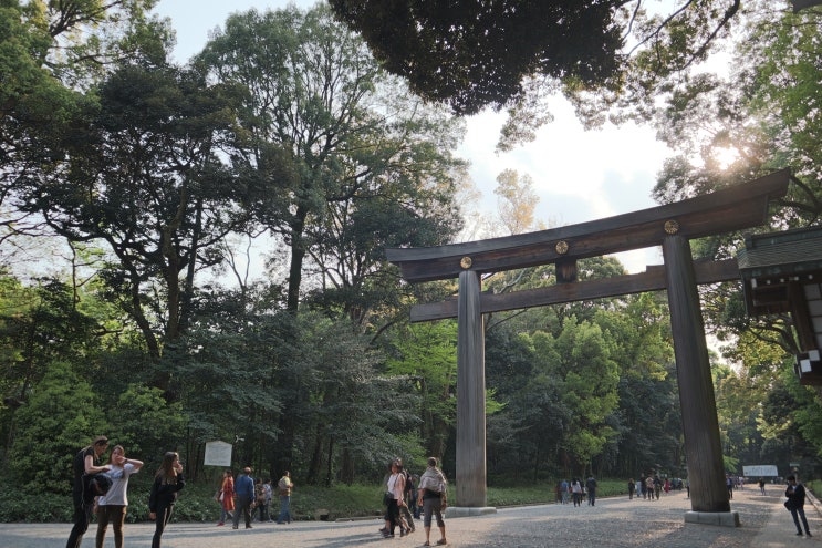 길치+쫄보의 나홀로 도쿄여행 2일차 / 메이지신궁 / 하라주쿠/ 자쿠자쿠 / 키디랜드 / 롯폰기힐즈 / 하브스 : 네이버 블로그