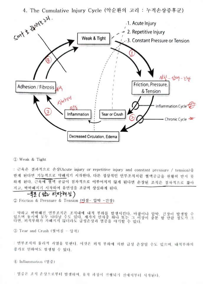 The cumulative injury cycle [악순환의 고리, 누적손상증후군] : 네이버 블로그