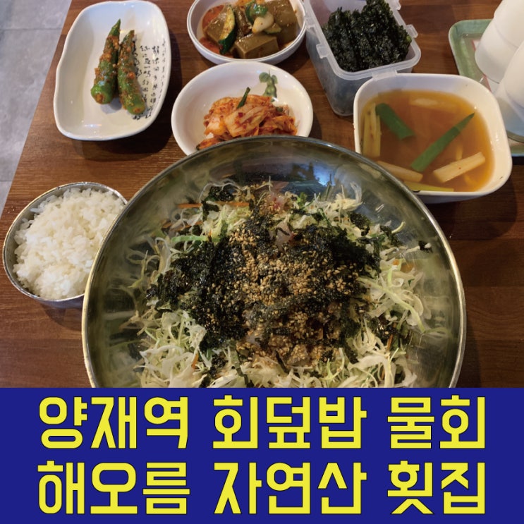 양재역 회덮밥 물회 해오름 자연산 횟집 뱅뱅사거리 네이버 블로그