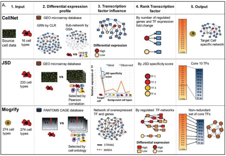 [논문분석] Direct Cell Reprogramming 방법론 비교 정리! : 네이버 블로그