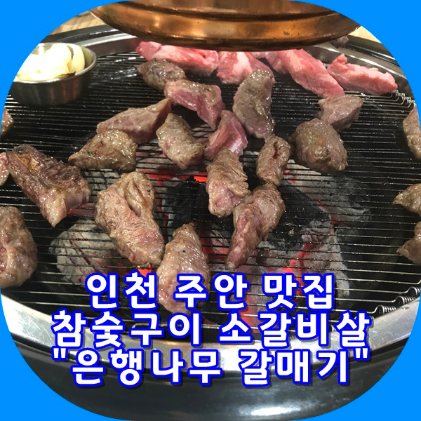 맛집탐방 인천 주안 참숯구이 소갈비살 전문점 은행나무 갈매기 Feat왕냉면 네이버 블로그
