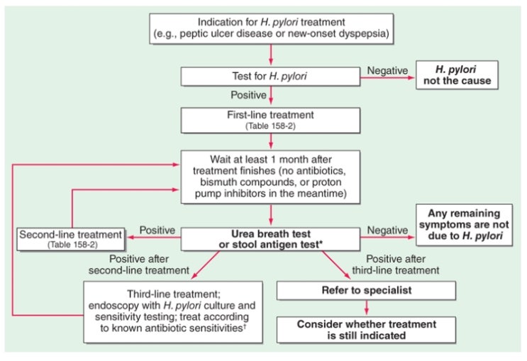 헬리코박터 파일로리 감염 치료 알고리즘[해리슨 20판], Algorithm for the management of ...