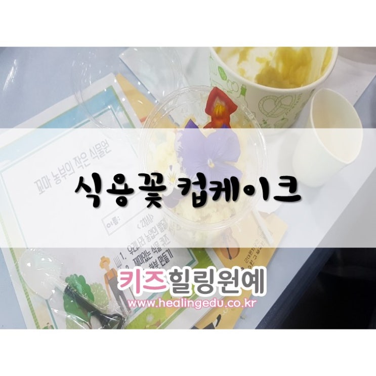 용인유치원 평택부모참여수업 수원공개수업 초등학교방과후 요리교육 요리치료 키즈힐링원예 식용꽃 즐거운요리프로그램원예