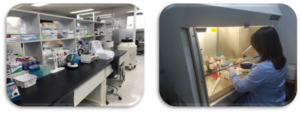 [MEDITREE 소식] 메디트리, 식약처 '임상시험 검체분석기관' 지정! : 네이버 블로그