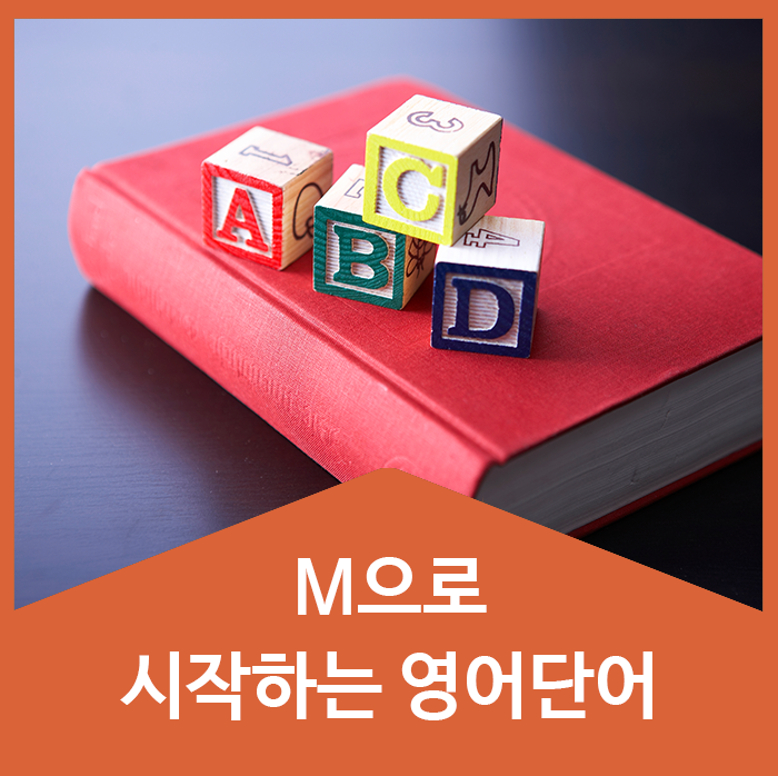 M으로 시작하는 단어 몇가지 모아봤어요 영어공부 시작~ : 네이버 블로그