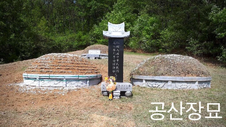 경북 영천시 청통면 대평리 원둘례석 묘지비석 제단석 상석 향로석 묘지관리 갓비석 장례식 묘지공사 잔디 묘지조경 벌초대행 공산장묘