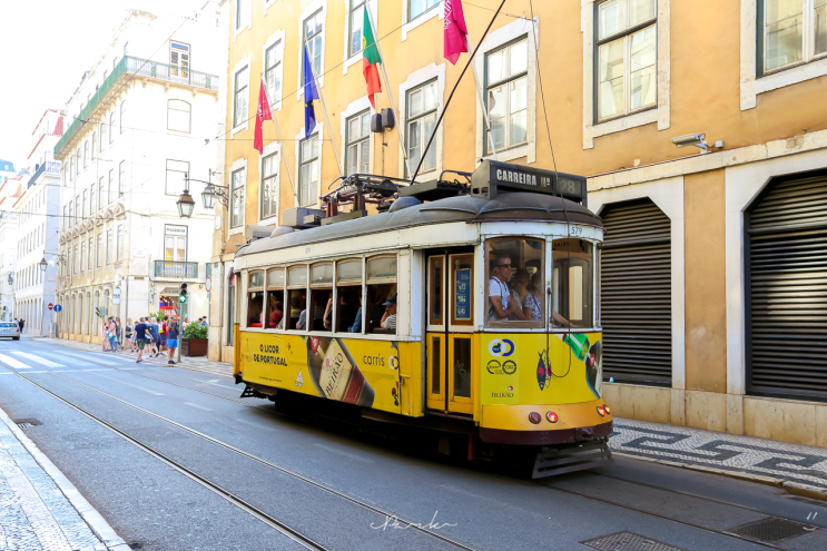 0원 항공권으로 떠나는 해외여행 SKT 5G VR 라면 가능하지! : 네이버 블로그