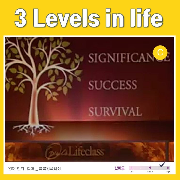 3 Levels in life |영어청취 ||룩룩잉글리쉬 : 네이버 블로그