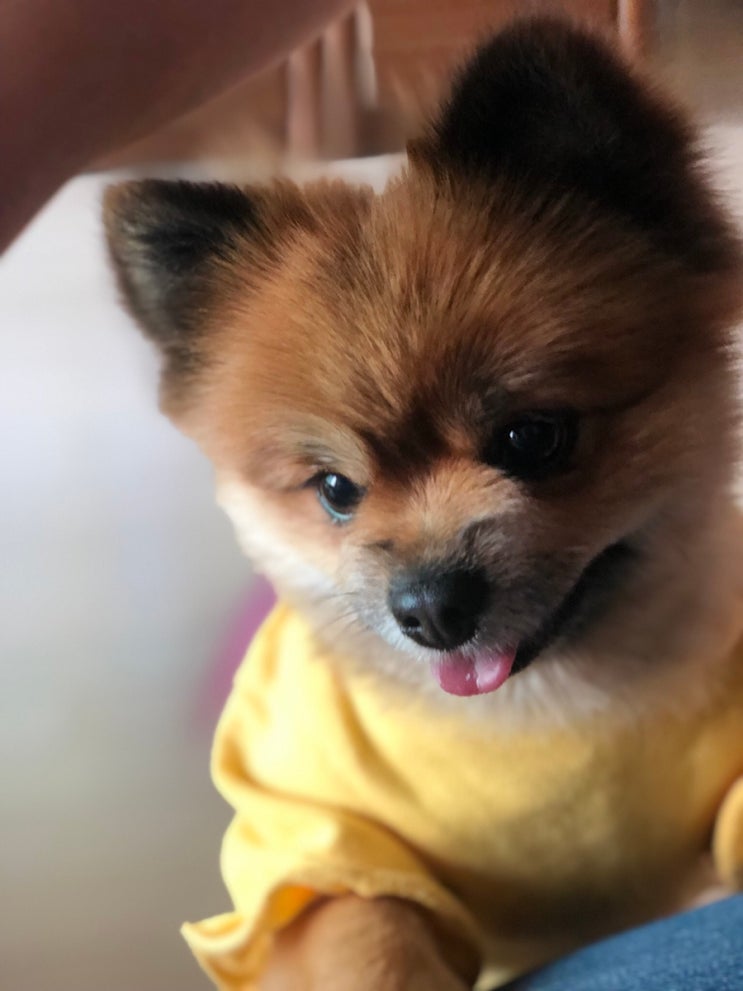 190429-190505 : 네이버 블로그