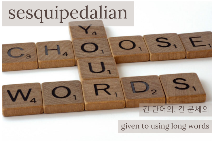 [슈가영어]슈가쌤의 VOCA(49): sesquipedalian(긴 단어의) : 네이버 블로그