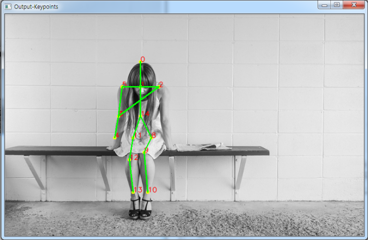 [OpenPose] Python OpenPose 시작하기 : 네이버 블로그