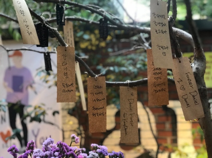 다니엘포레스트(Daniel Forest), 강다니엘 응원나무 생겼오요! : 네이버 블로그