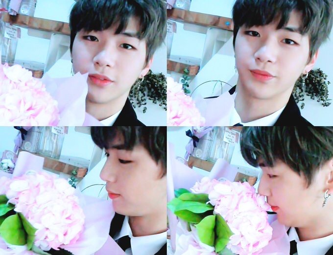 수국 가득한 다니엘포레스트(Daniel Forest), 강다니엘때문에 모두가 행복해요 : 네이버 블로그