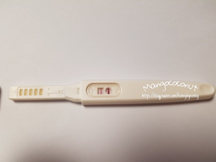 [임신확인/산부인과 방문 시기] 임신 초기/임신테스트기 후 산부인과 임신 검사 방문 시기 :: 산부인과 언제 가야 할까 ...