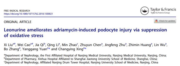 [신질환/본초] Leonurine(익모초 성분)은 사구체 질환의 예방을 위한 새로운 치료약물일 수 있다: 항산화 (in vivo ...