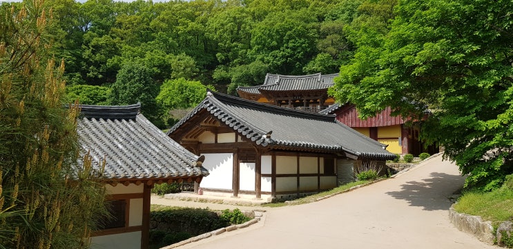 [영주] 부석사 무량수전 배흘림기둥에 서서 20190506 네이버 블로그