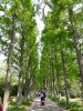 나주 산림자원연구소 느러지전망대 나주 가볼만한곳으로 추천 네이버 블로그