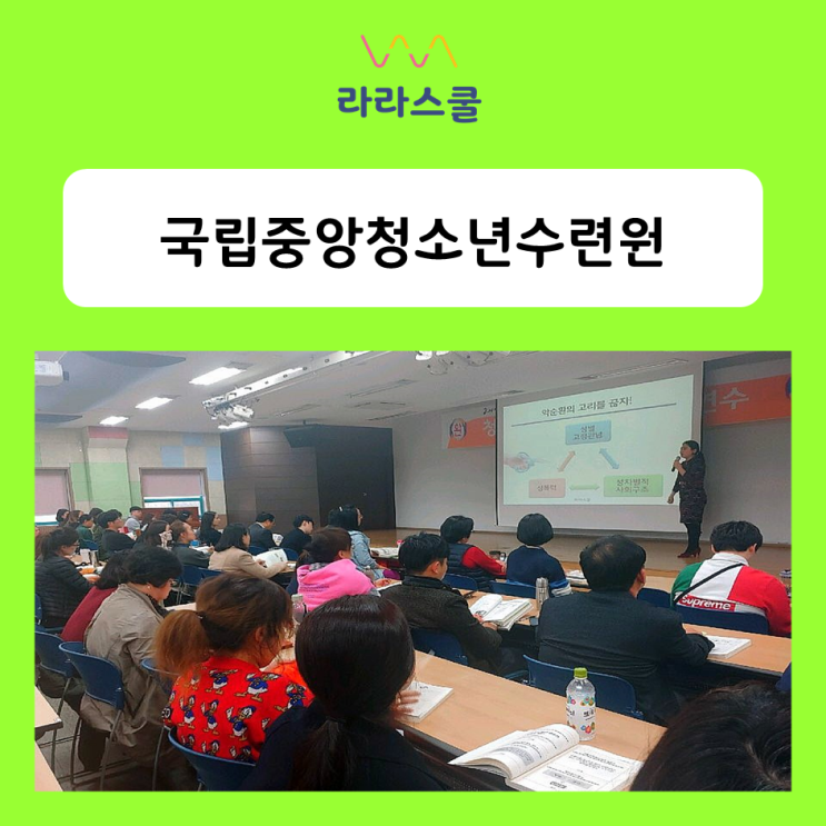 라라 스쿨 성교육 국립 중앙청소년 수련원청소년지도 사연 수 성교육 강사 네이버 블로그