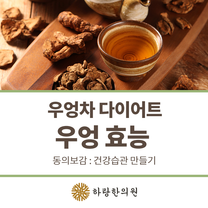 우엉 효능 우엉차 다이어트 알아보기 네이버 블로그